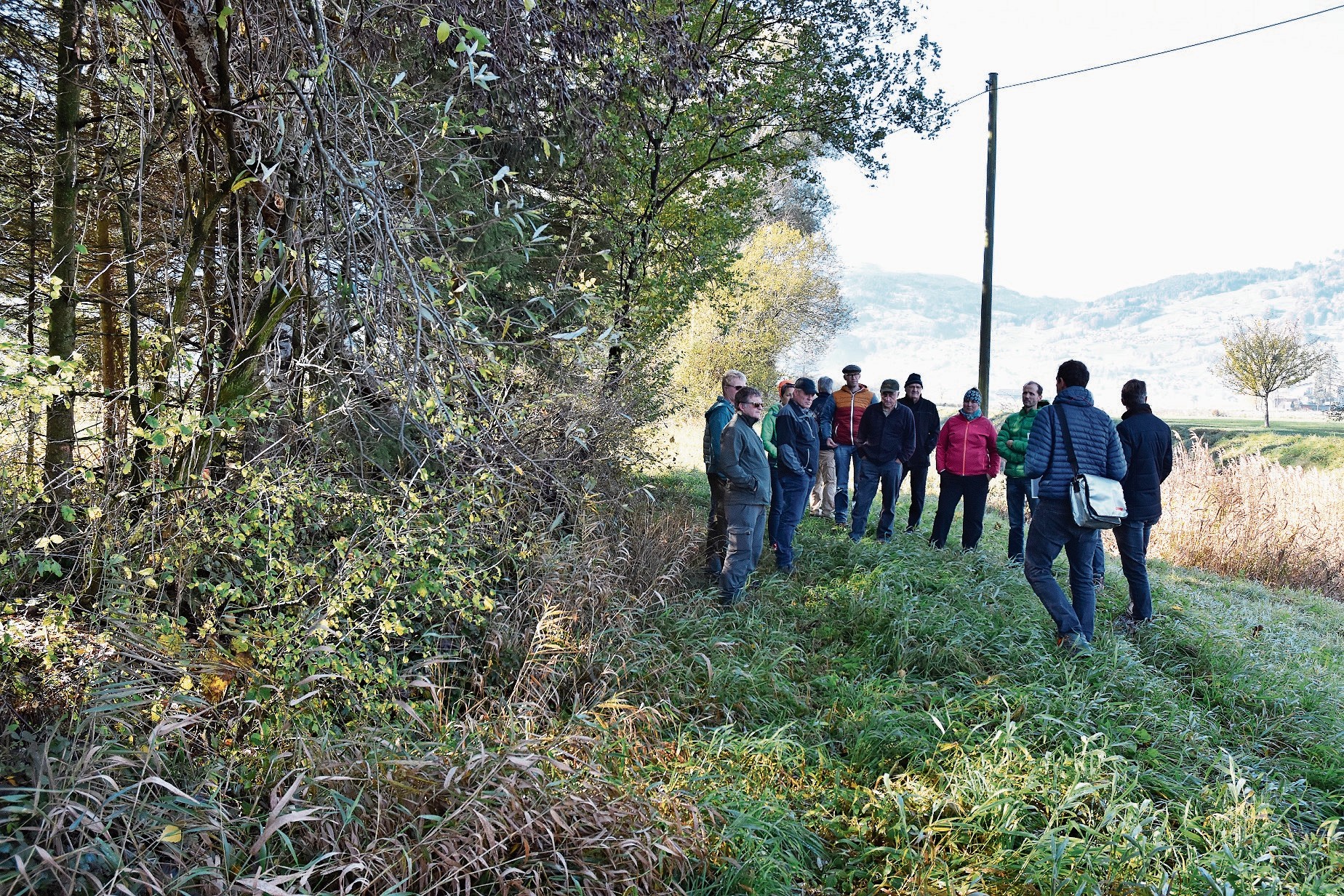 Rodungen starten schon bald