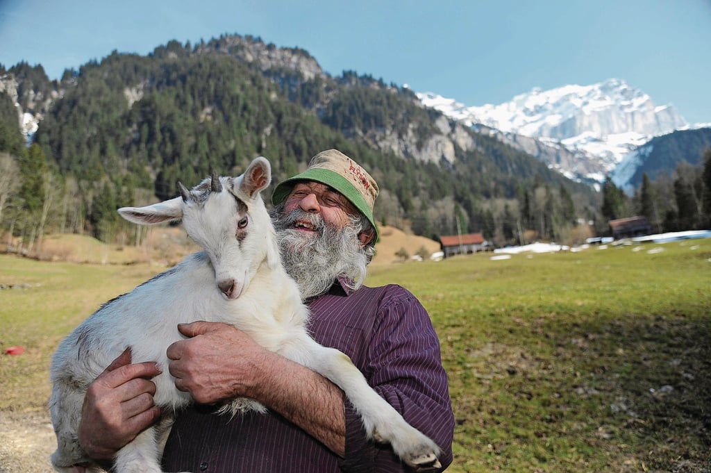 RIEDERTAL: Bauer Sepp Arnold sucht im TV eine neue Lebenspartnerin