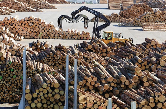 Die Sägen stehen bald still