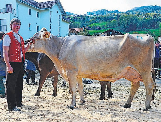 Gamser Behörden informieren
