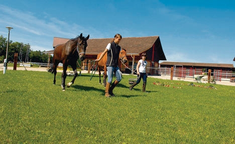 Fohlenweide wagt Neuanfang