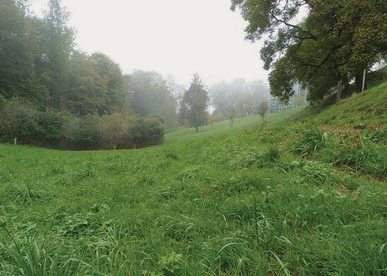 Biotop vor Holys Haustür