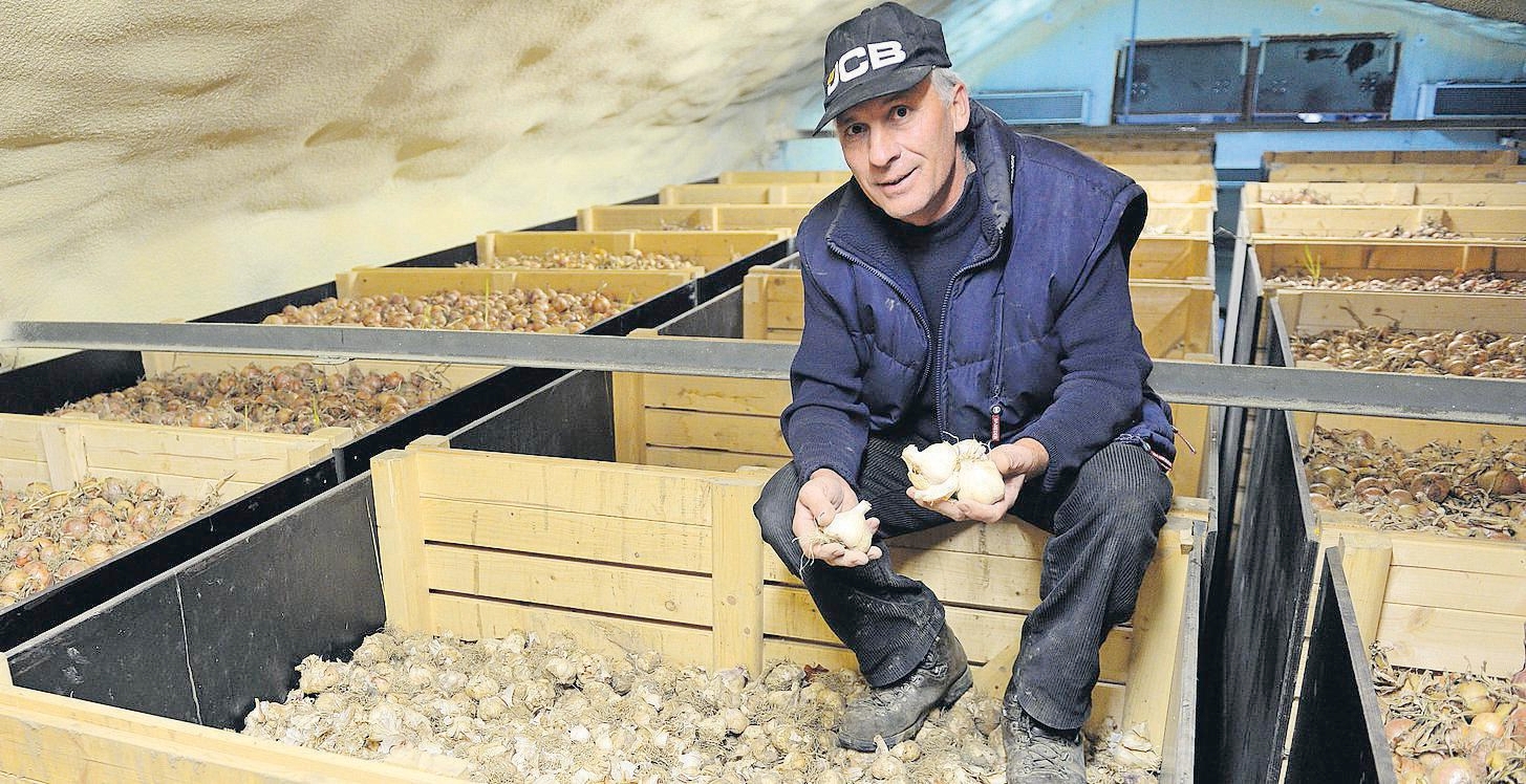 Es riecht streng nach Marktlücke