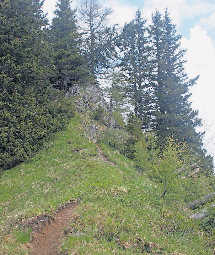 Auf Schusters Rappen hinauf auf den Rappenstein