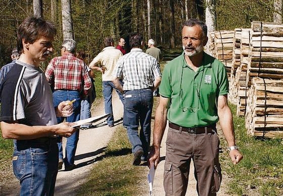 Das Brennholz versteigert