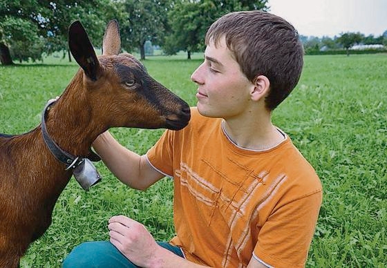 «Die Geiss ist ein sensibles Tier»