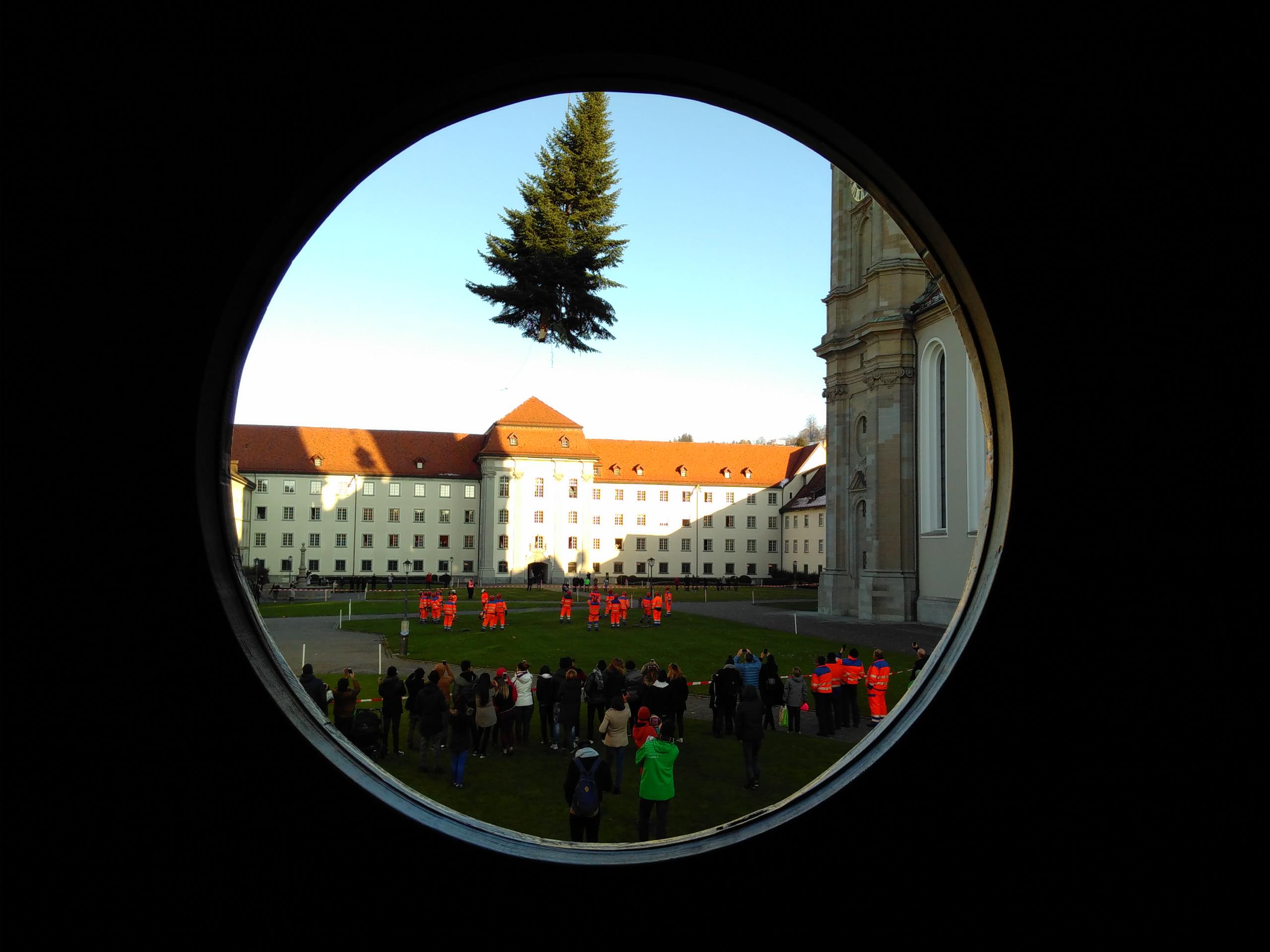 ST.GALLEN: Der Christbaum ist auf dem Klosterplatz gelandet