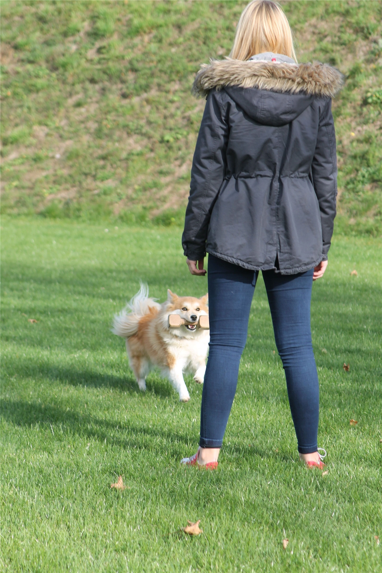 Jugendliche Hündeler zeigen, wie gut ihnen die Vierbeiner gehorchen