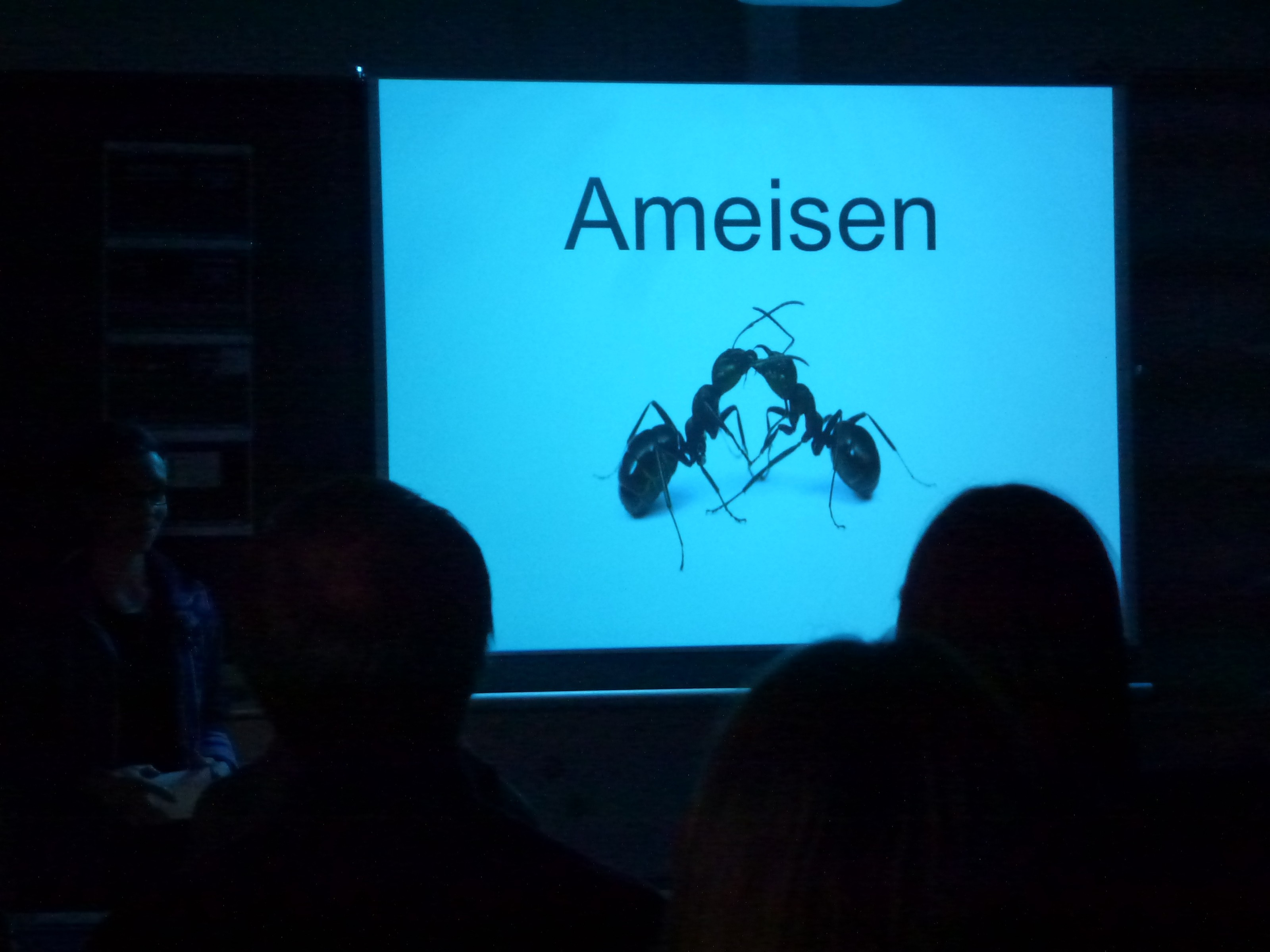 Von der Idee zum eigenständigen Projekt