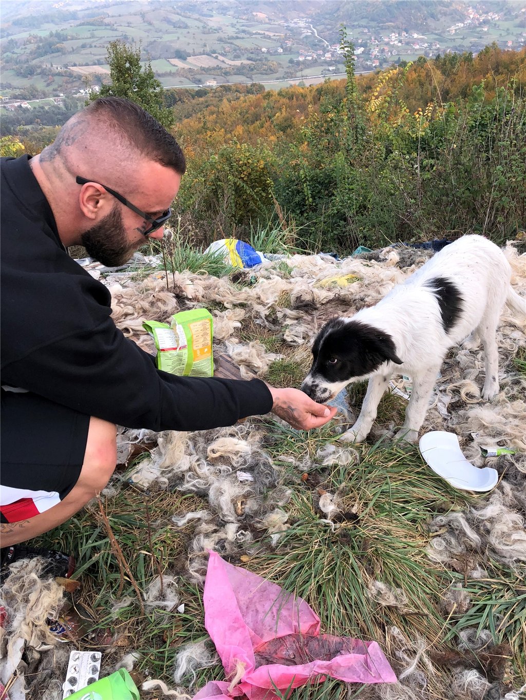 Bodybuilder Bruno Jelovic aus Buchs rettet Hunde in Bosnien