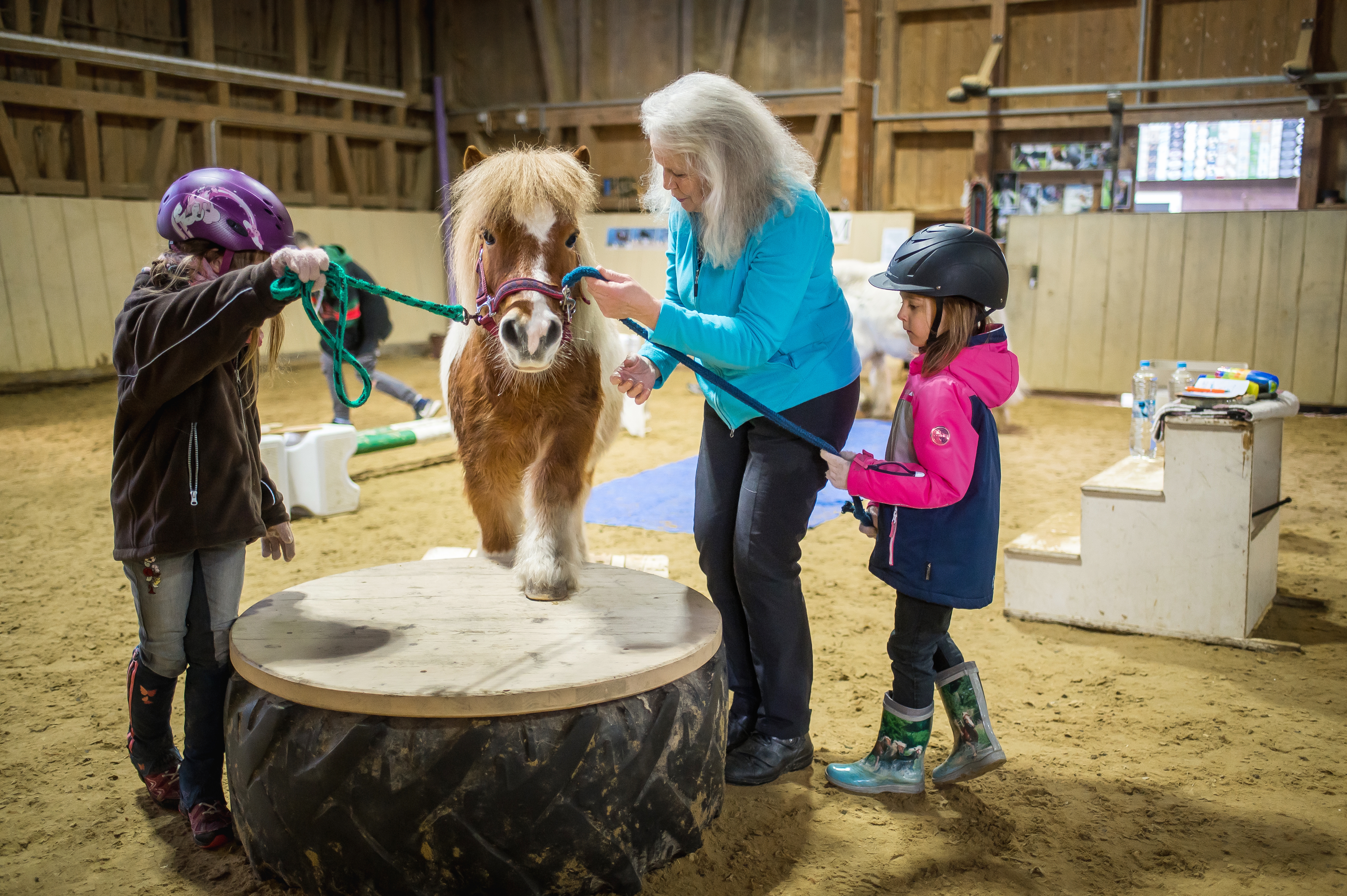 Ihr Leben ist ein Ponyhof: Für Reitpädagogin Ruth Jung steht nicht die ...