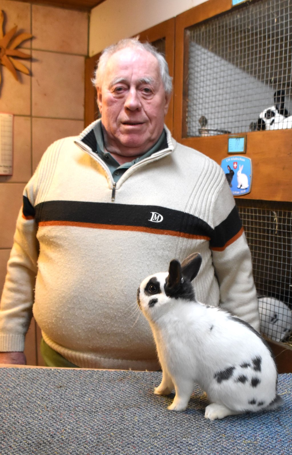 Urner Kleintierzüchter holen in Thun hohe Punktzahlen