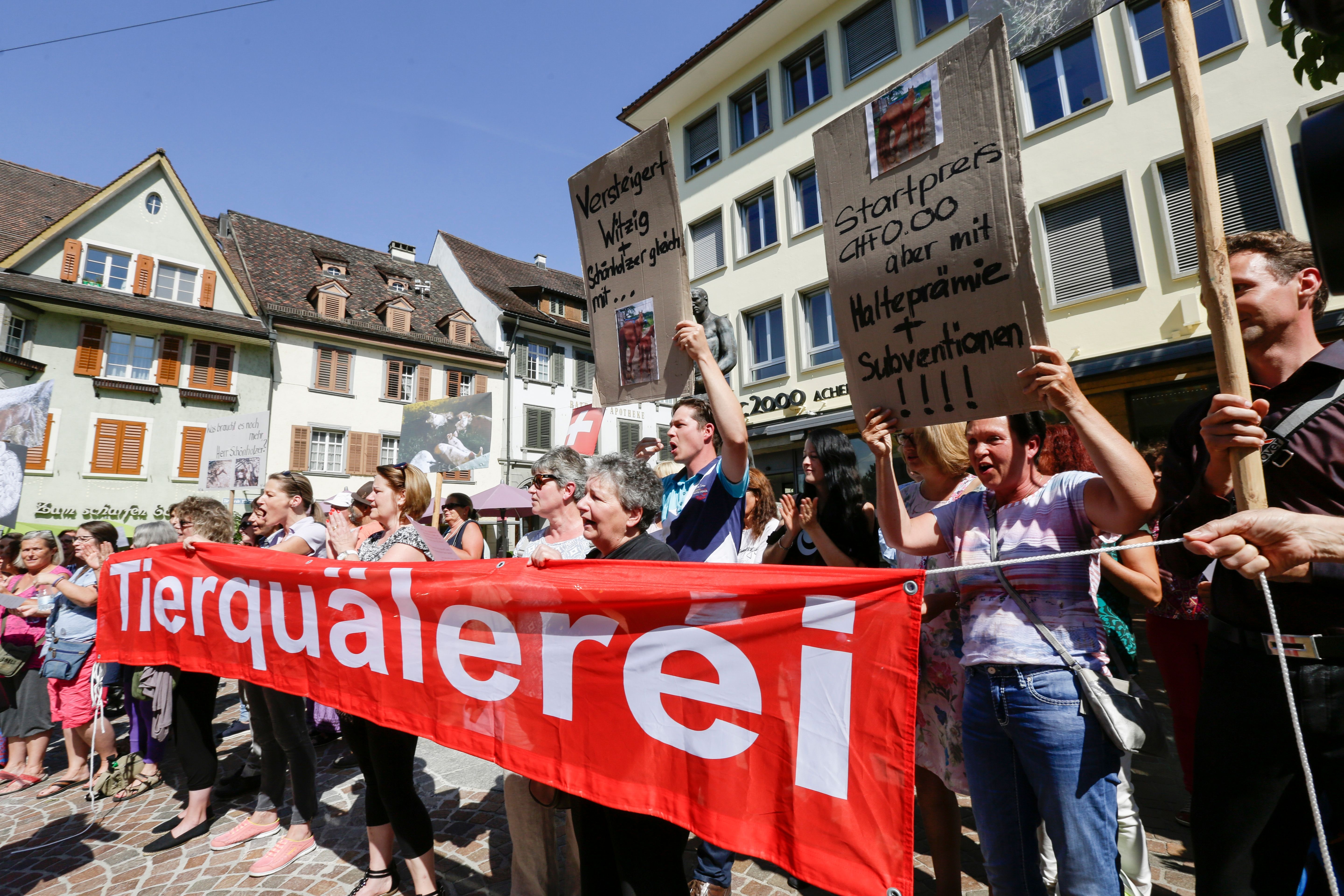 Thurgauer Kantonstierärztin kündigt nach nur einem Jahr