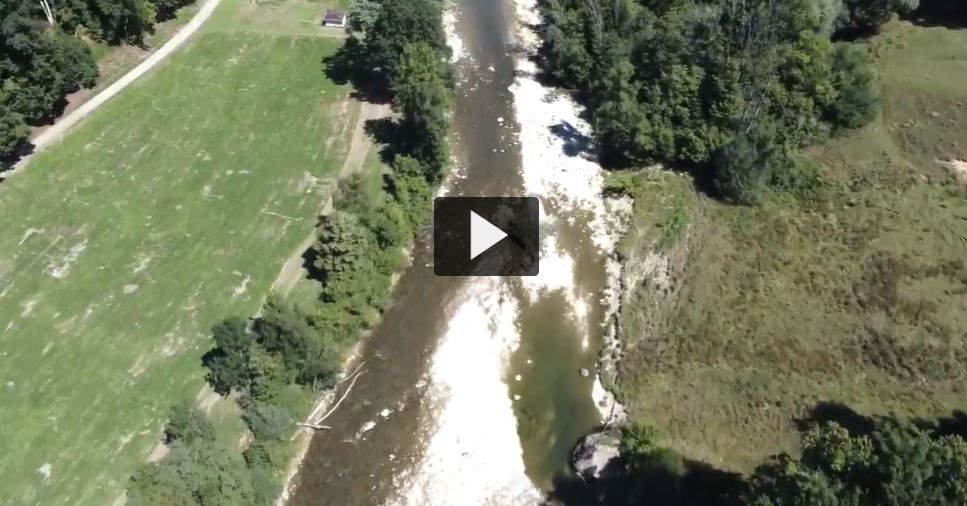 So sehen Rhein, Sitter, Thur, Necker und Bodensee derzeit aus