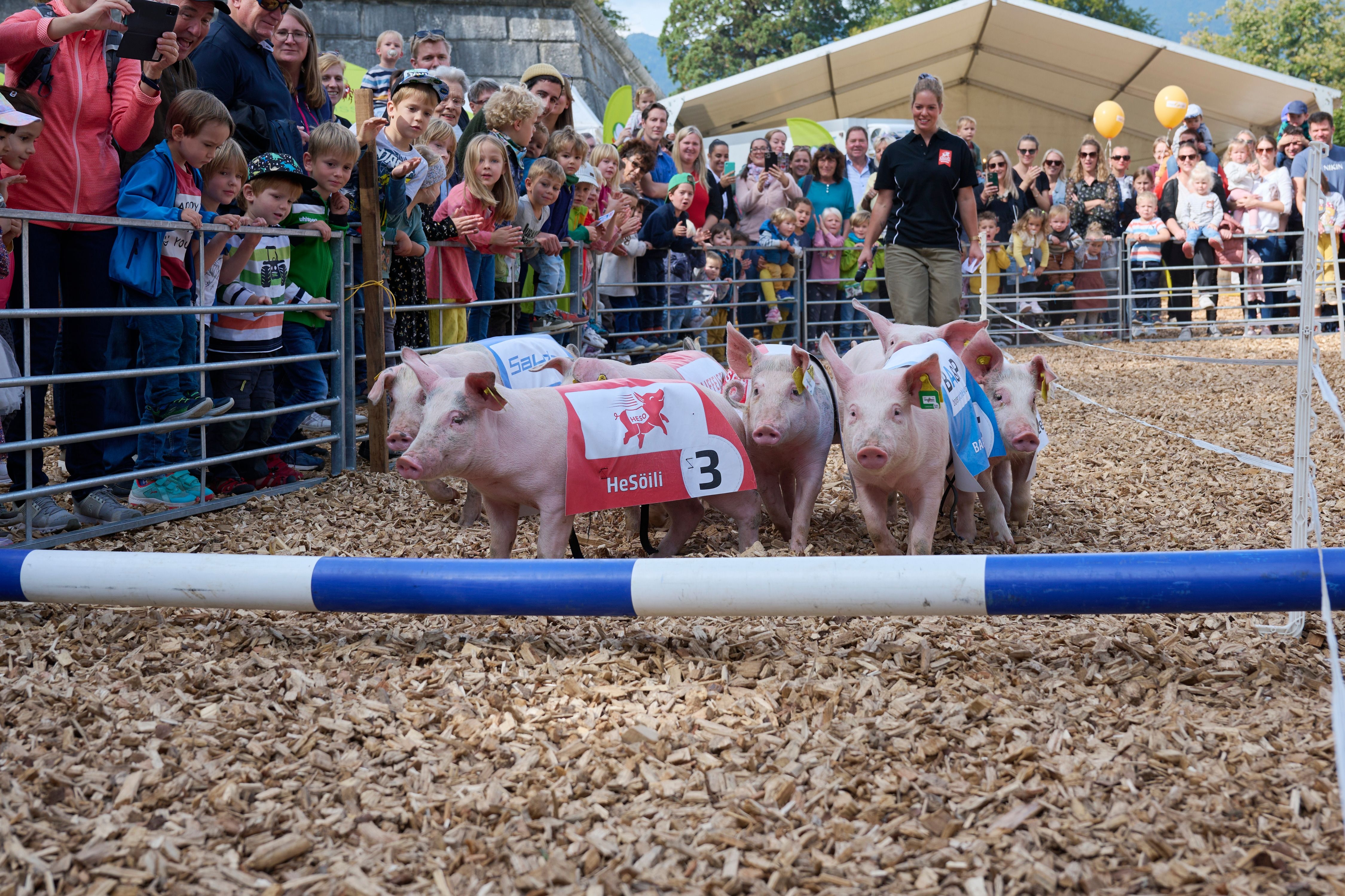 Das war das erste Säulirennen an der HESO 2022