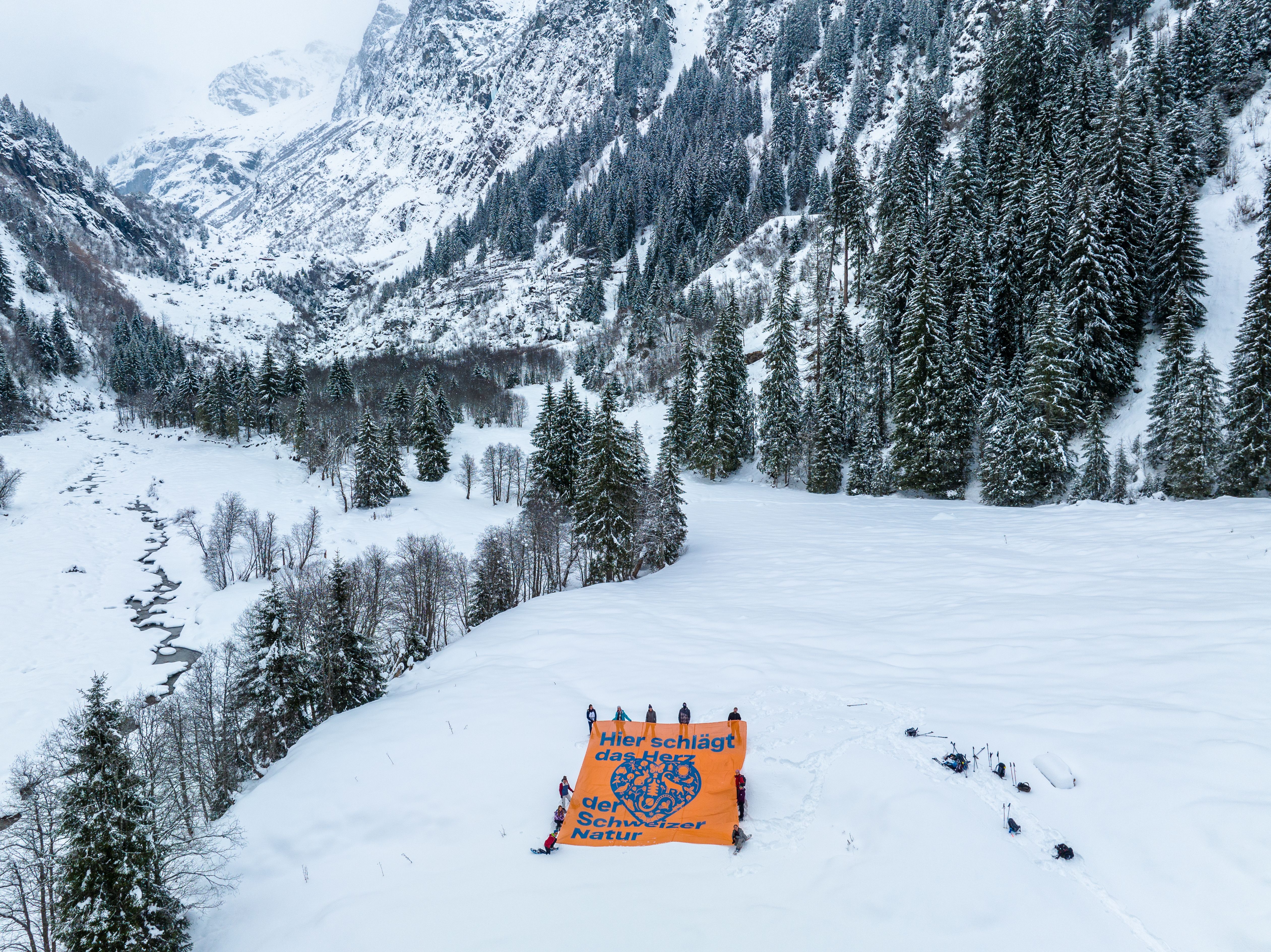 Umweltorganisationen setzen sich für Biotop Maderanertal ein