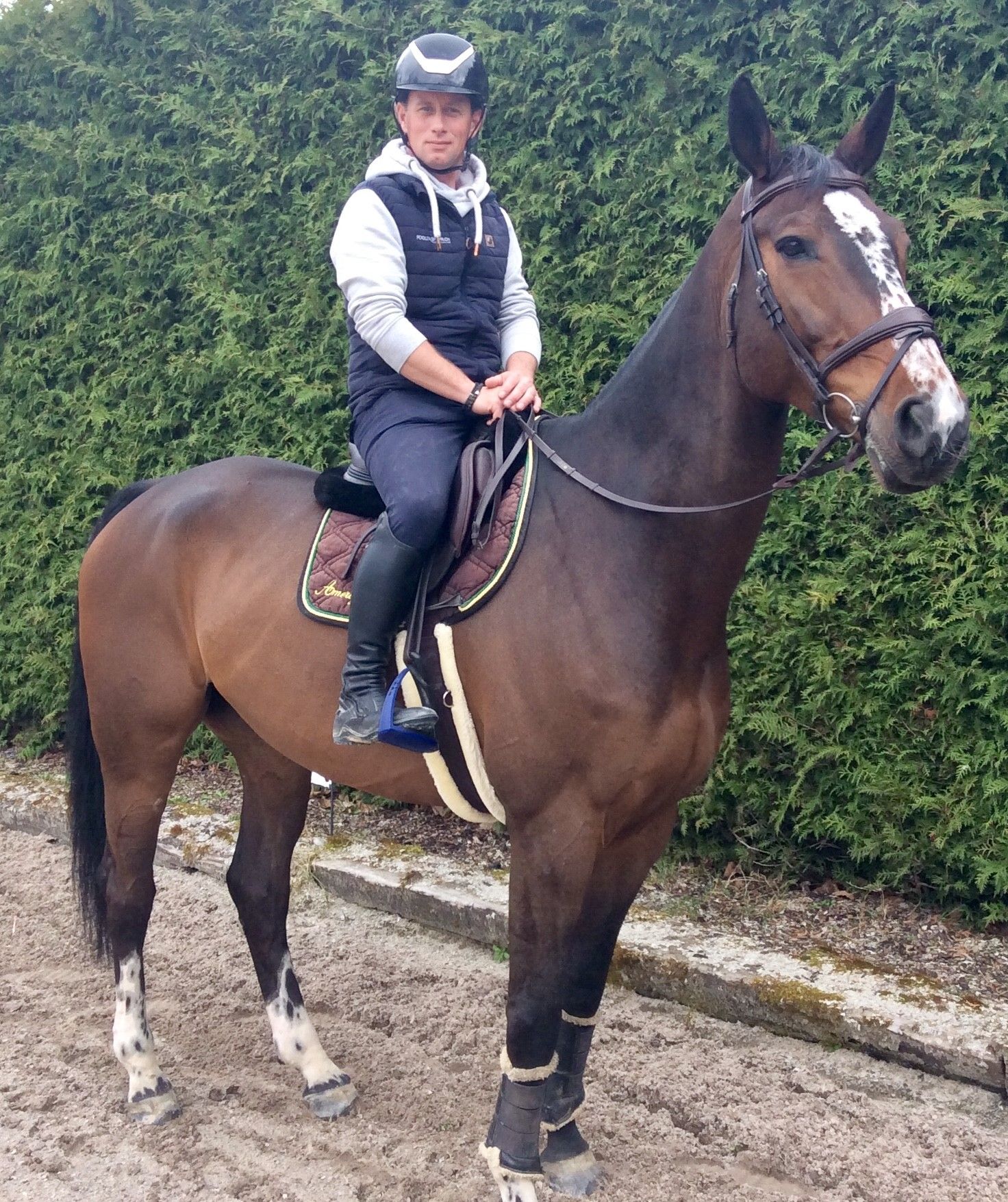 Reiten: Peter Bleiker, der Aufsteiger aus dem Rheintal