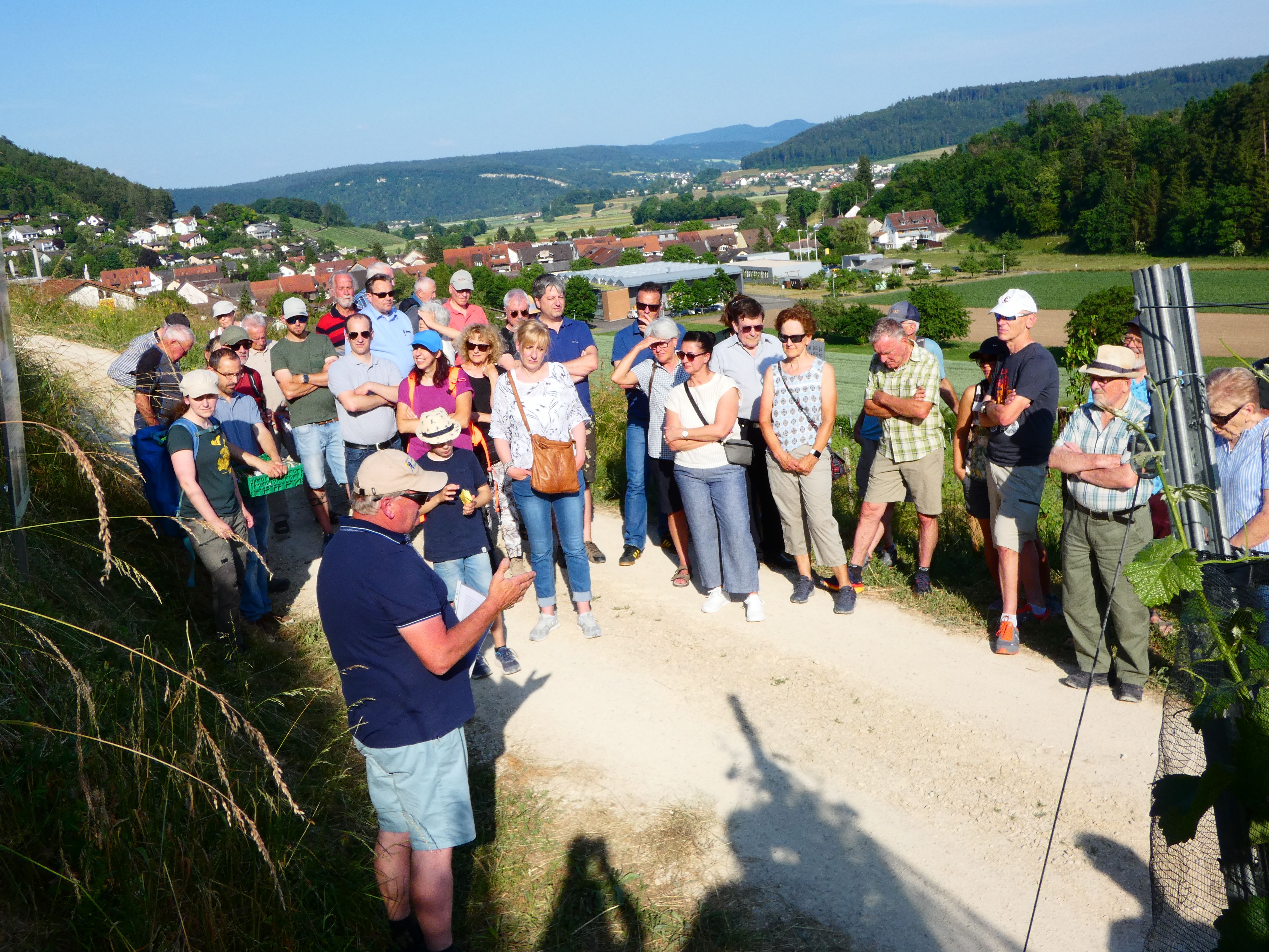 Remigen: Verlängerter Rebberg- und Naturwanderweg ist eingeweiht