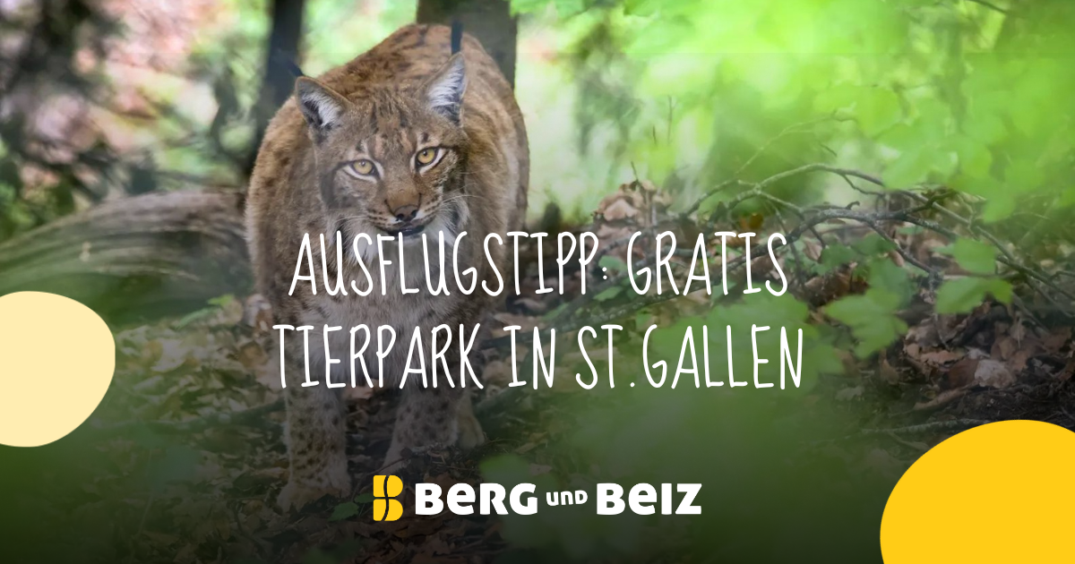 Wildpark Peter und Paul: Ausflugstipp und Wissenswertes