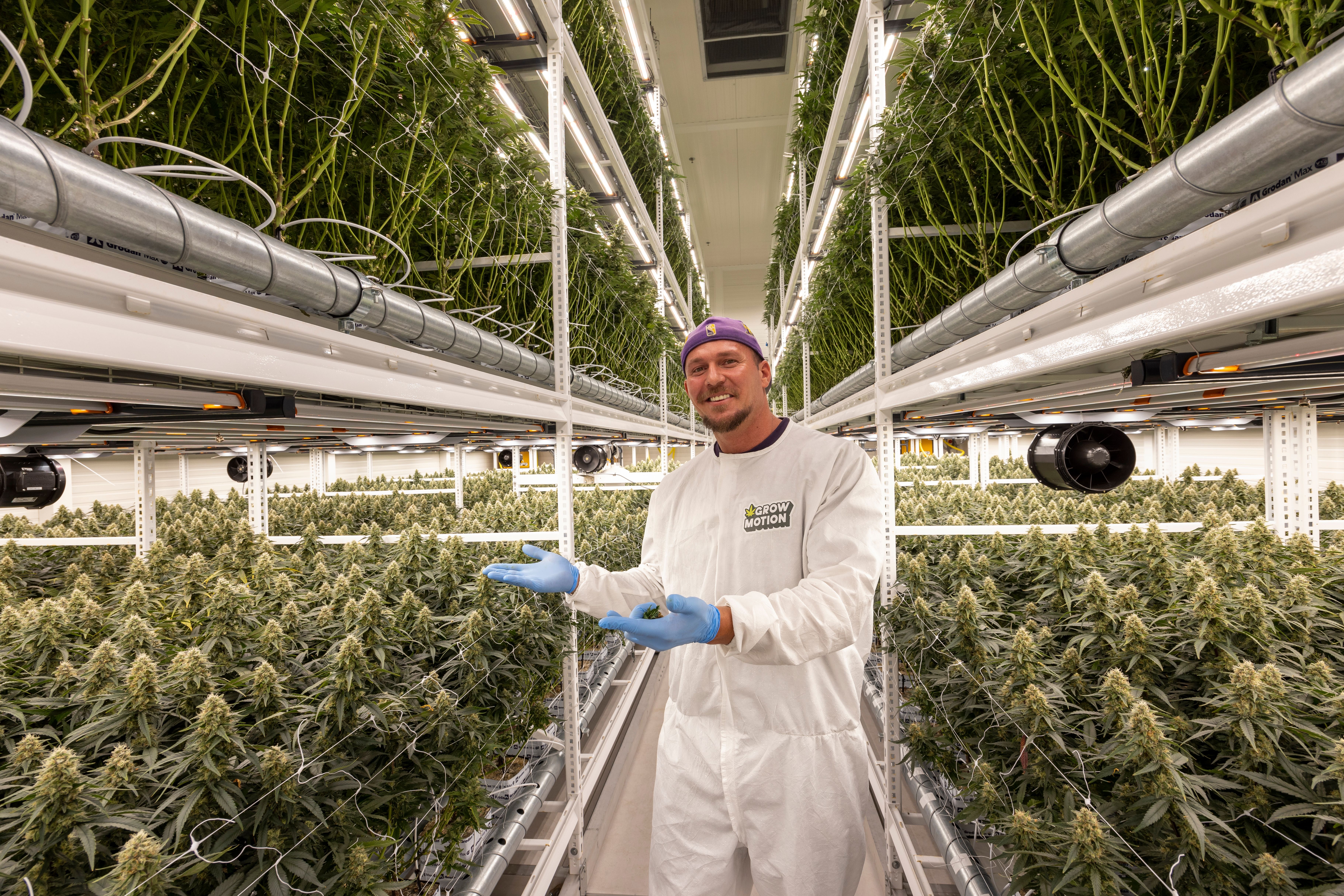 Grow Motion AG in Zuchwil: Hier kann man eigene Pflanze kaufen