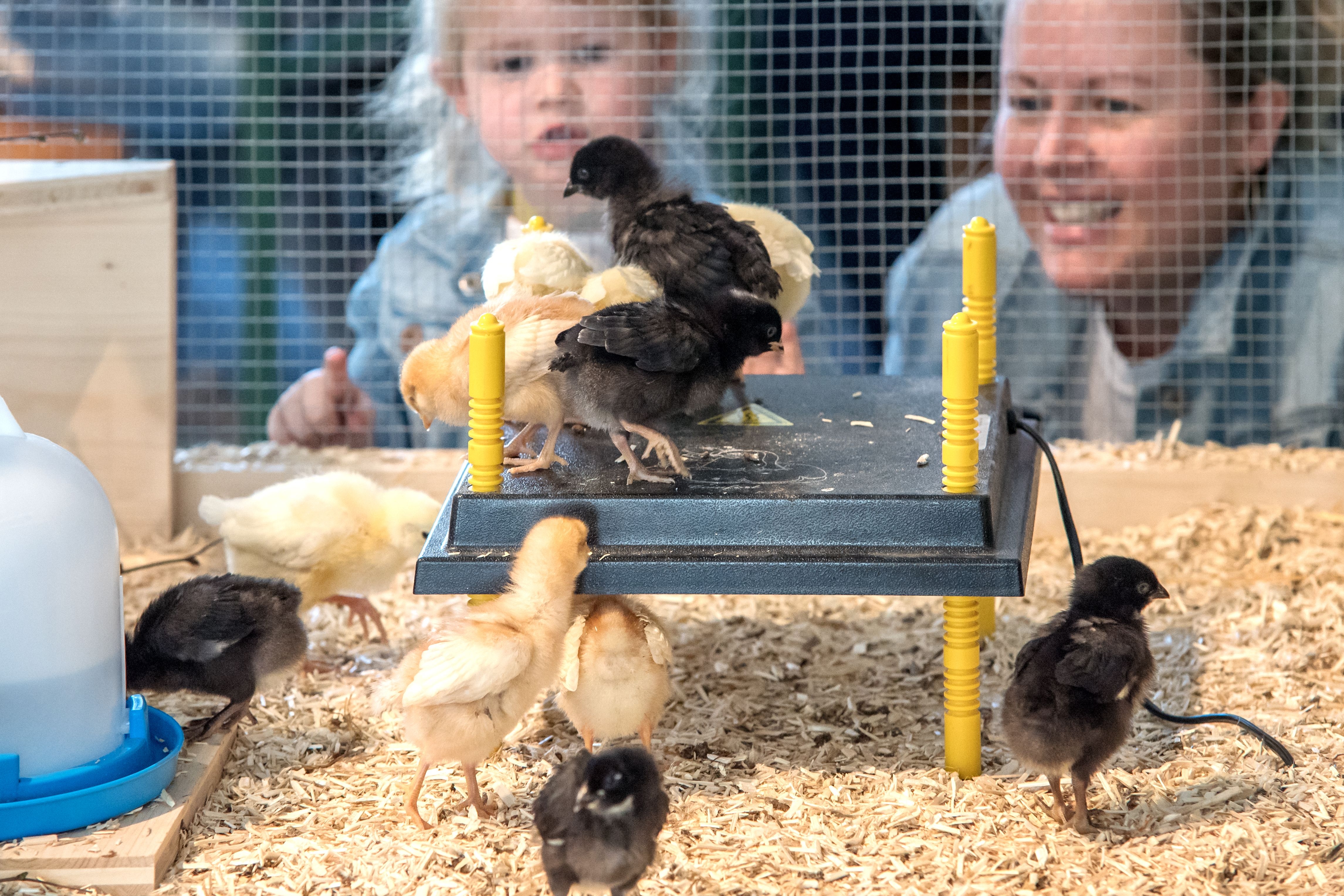 Museum Luzern: Osterausstellung «Vom Ei zum Bibeli» startet wieder