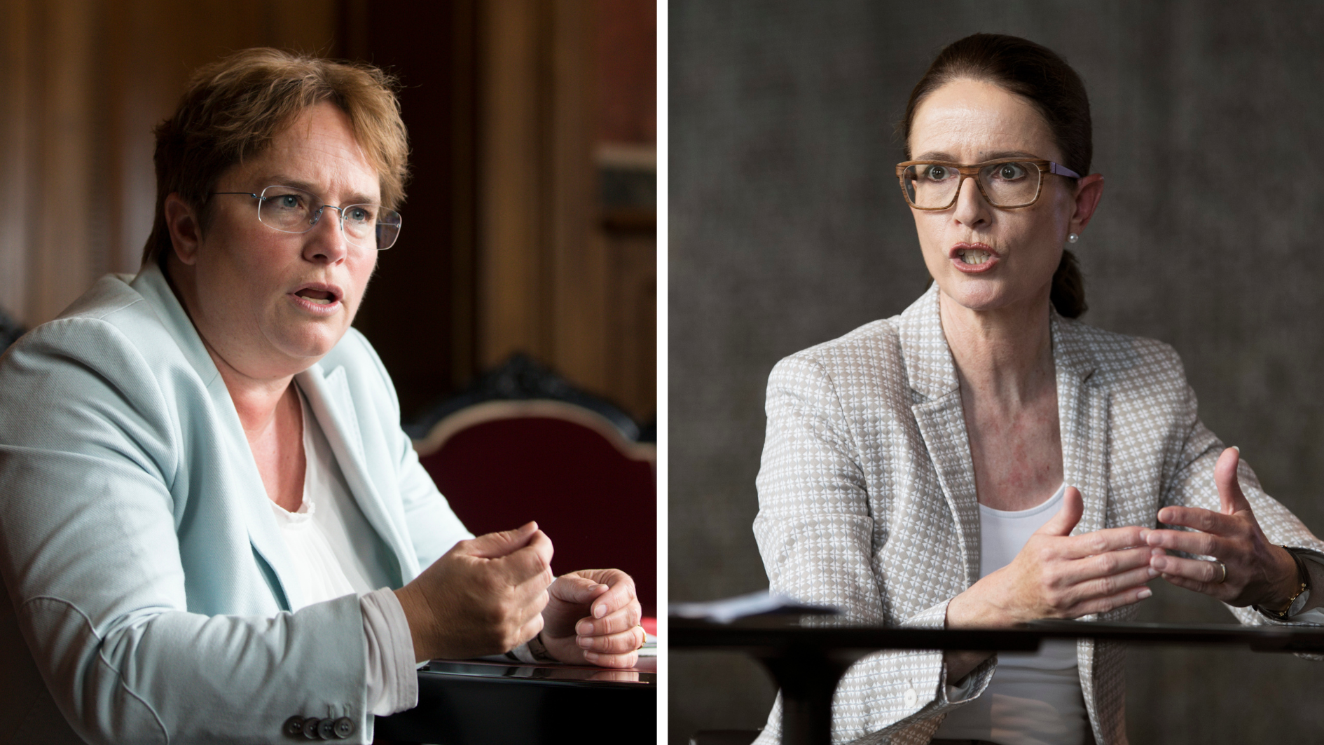 Braucht die Schweiz ein neues Stromgesetz? Susanne Vincenz-Stauffacher ...