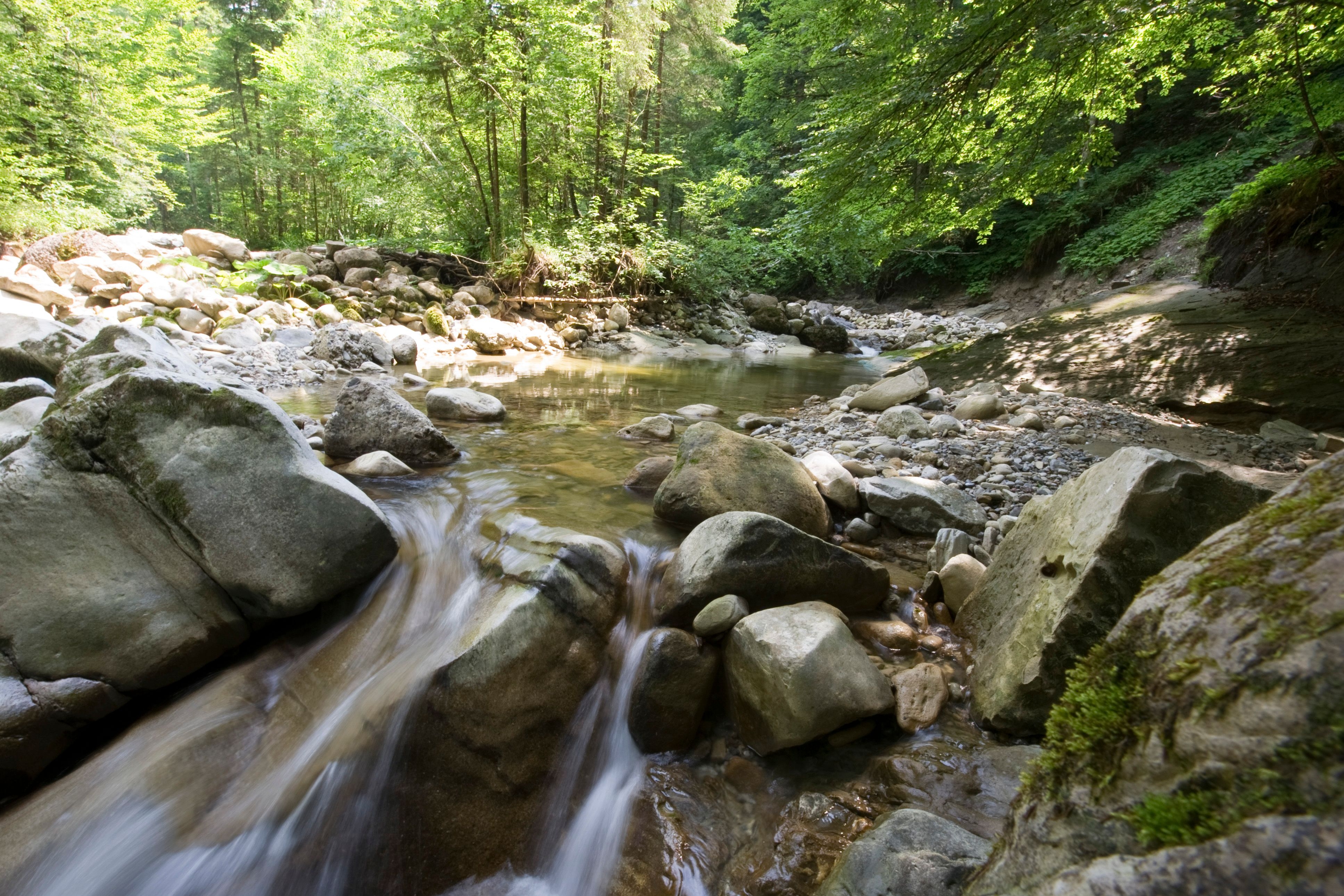 Thur- und Neckerweg nimmt Formen an: Eröffnung für Herbst 2025 geplant