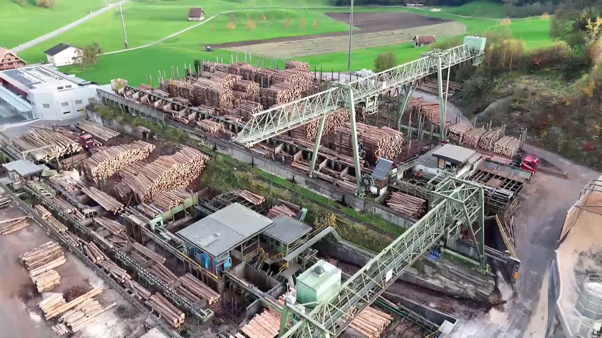 Schilliger Holz Küssnacht: Die grösste Sägerei der Schweiz