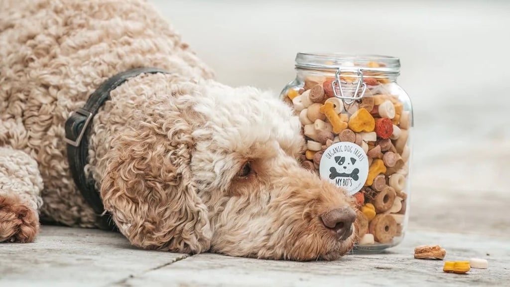 MyBos: Hundeguetzli aus Hünenberg