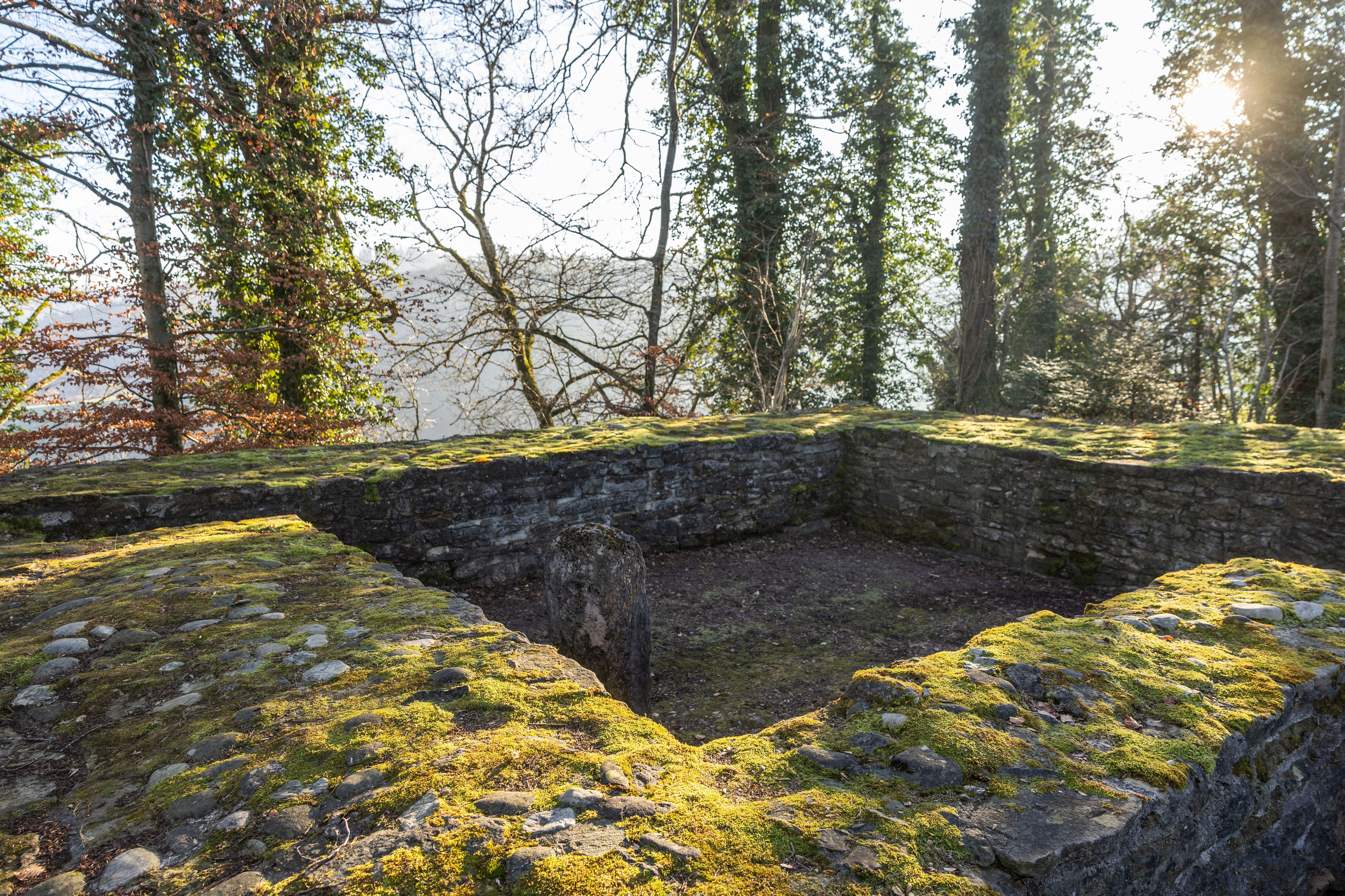 Ruine Bottenstein: Geschichte der Burg zwischen Kanton Luzern und Aargau