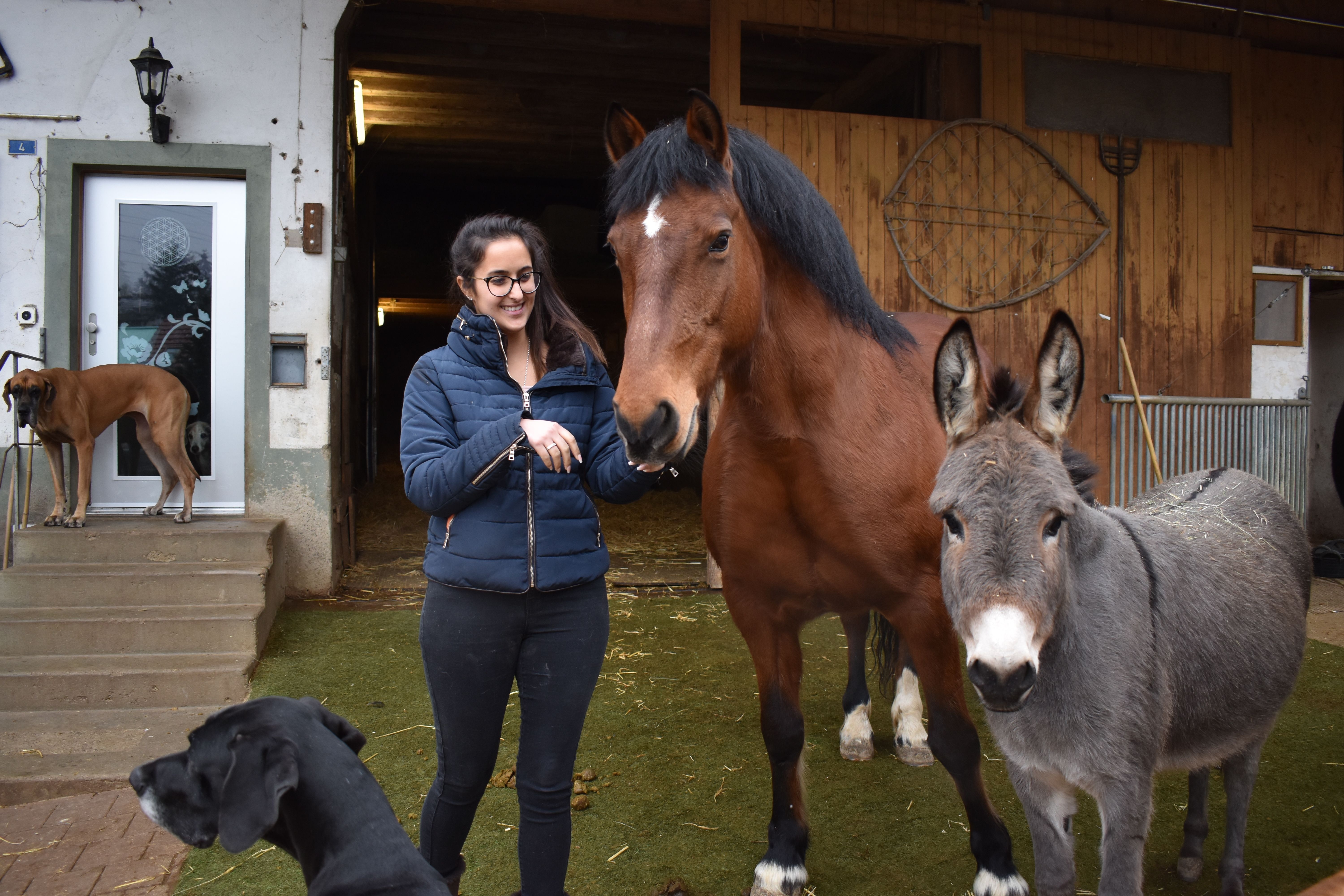 Pferd und Esel dürfen nicht mehr ausschliesslich zusammen gehalten werden