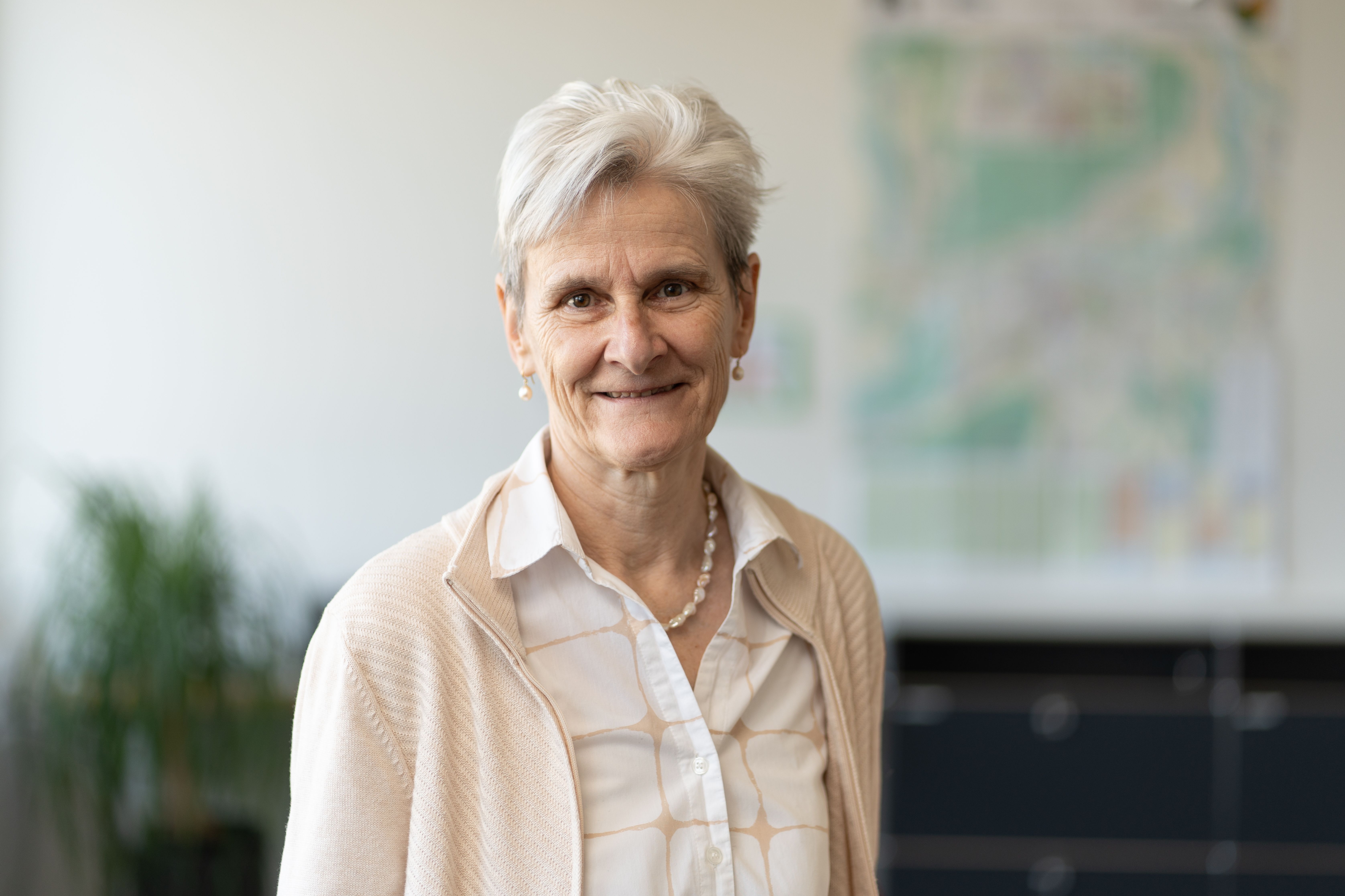 Windisch: Einwohnerrat berät über Erhöhung der Entschädigung für ...