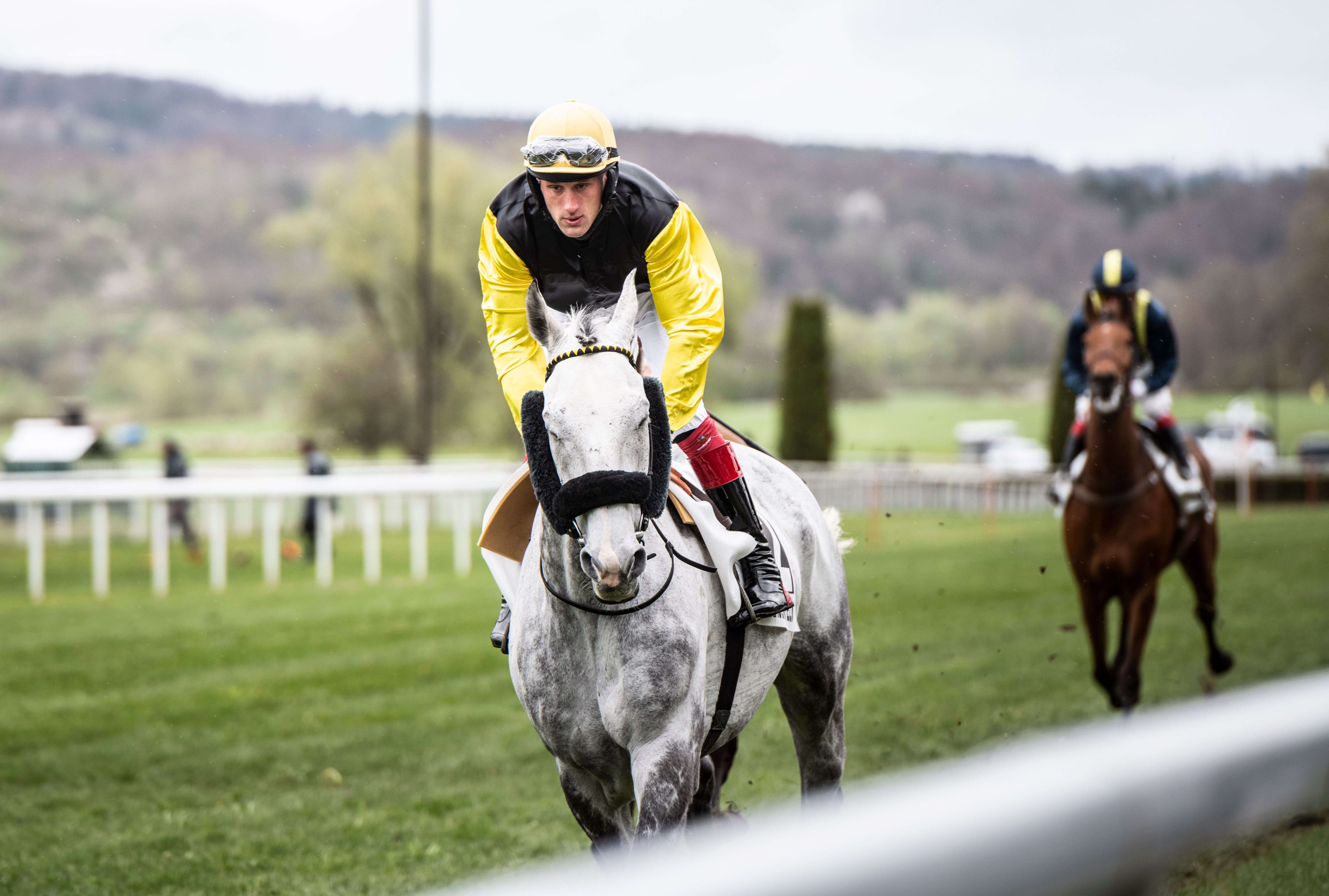 Pferderennen in Frauenfeld: Osterrennen am Ostermontag