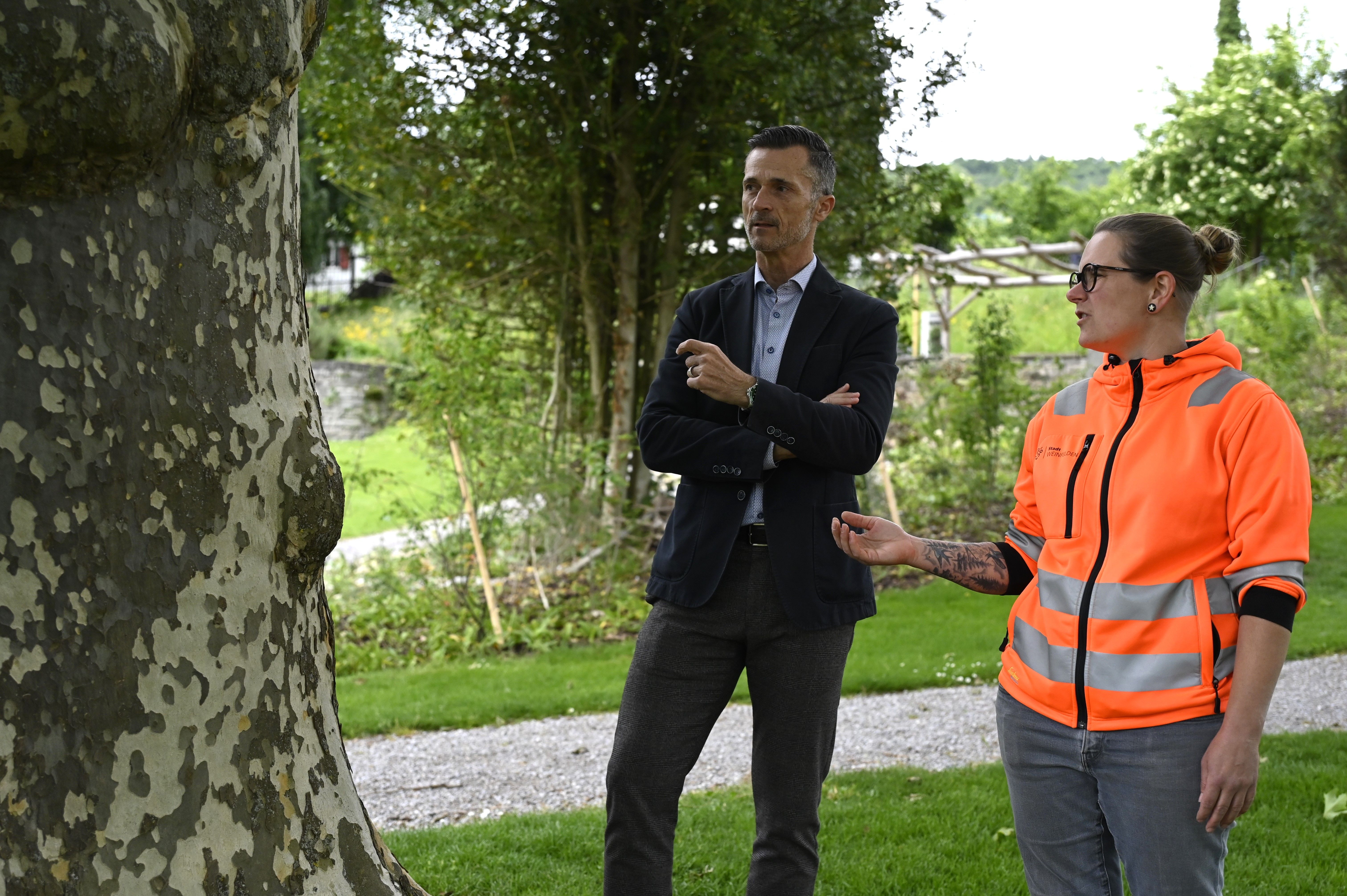 Mehr Biodiversität auf Weinfelder Stadtgebiet