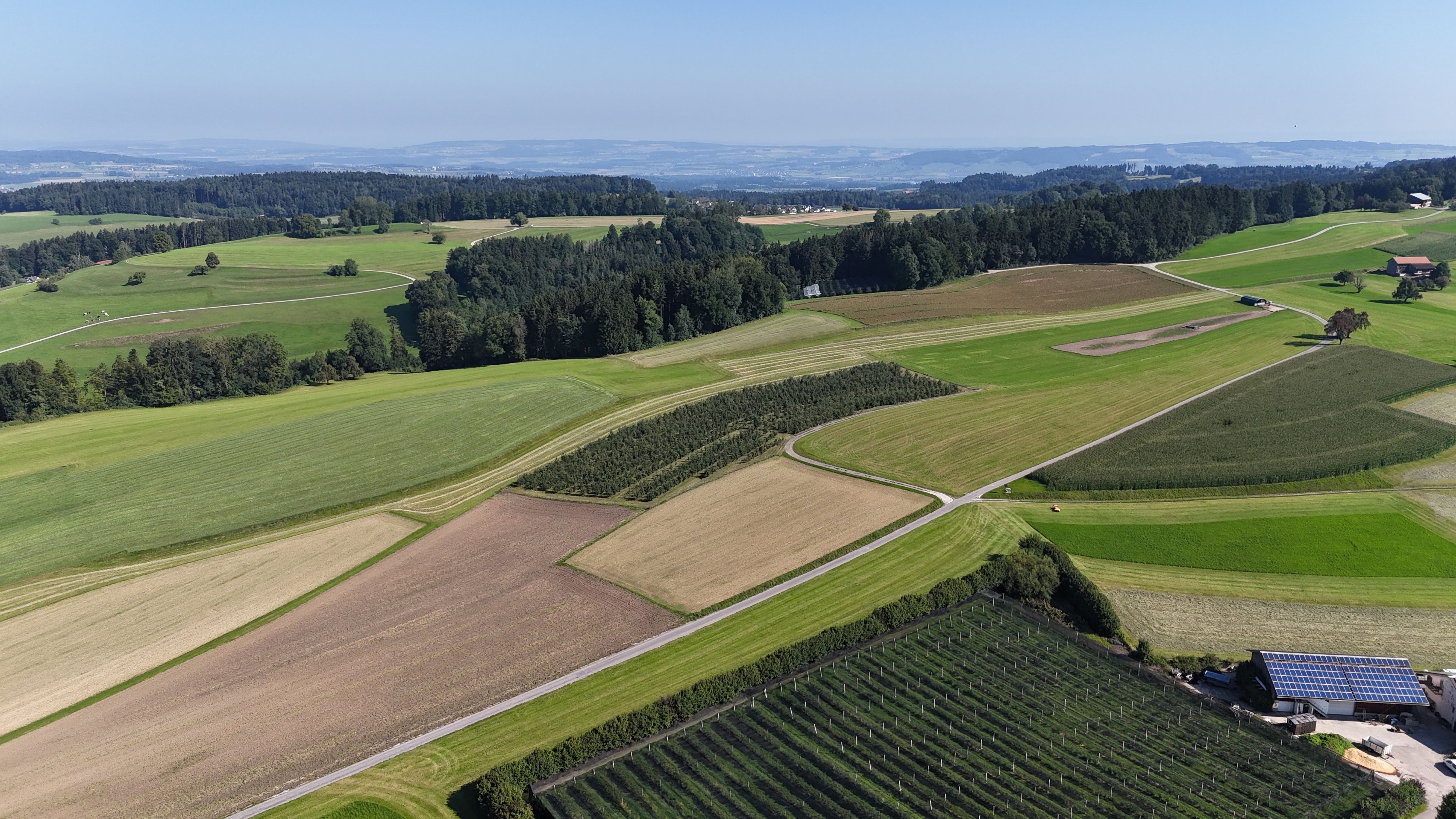 Windpark Boxloo: Axpo verteidigt Pläne gegen Kritik